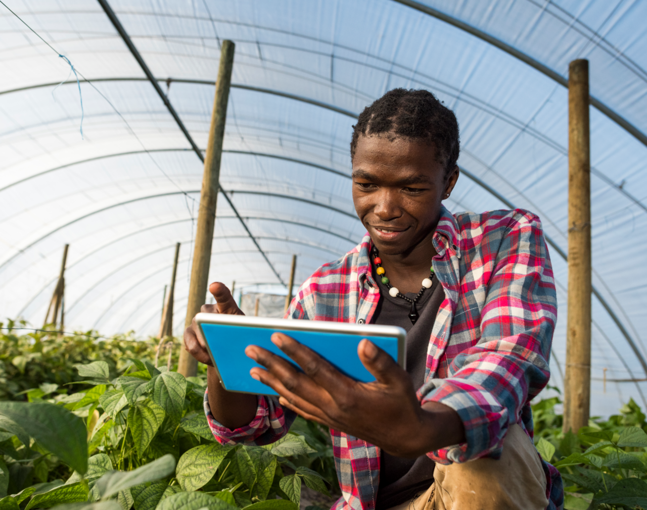 EXTENSION PROGRAMS FINANCE PROGRAMS LOGISTICS PROGRAMS COOPERATIVE PROGRAMS