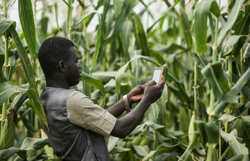 Benefits of Mobile Data Collection in Agricultural Extension Programs